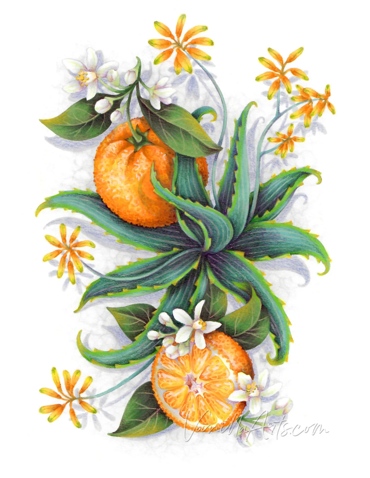 Details In Focus Color White Flowers With A Rainbow Copic Markers details-in-focus-color-white-flowers-with-a-rainbow-copic-markers